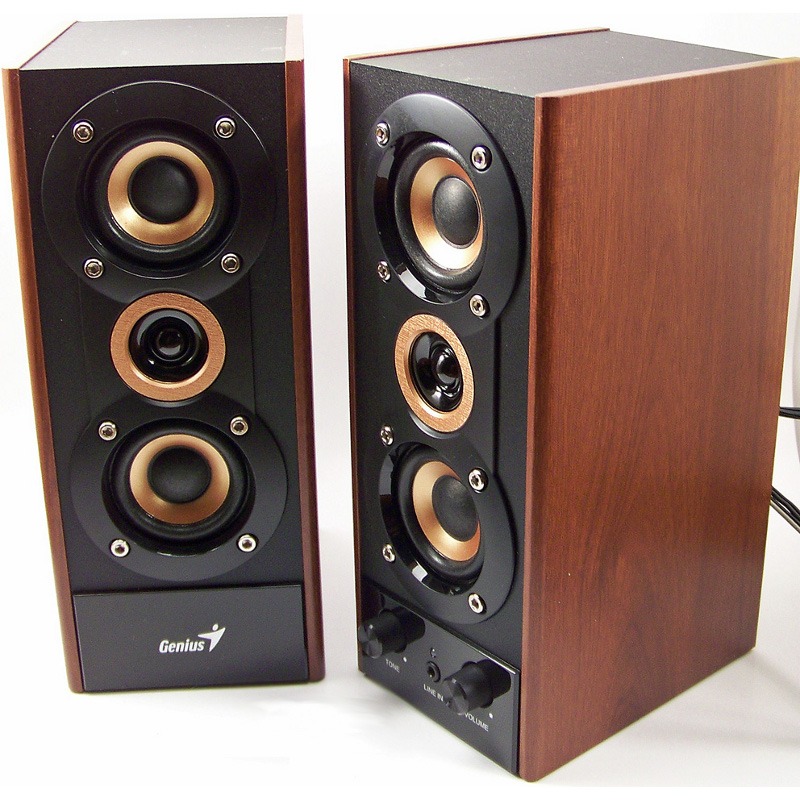 Genius Boxa SP-HF800A Black wood - PC Garage